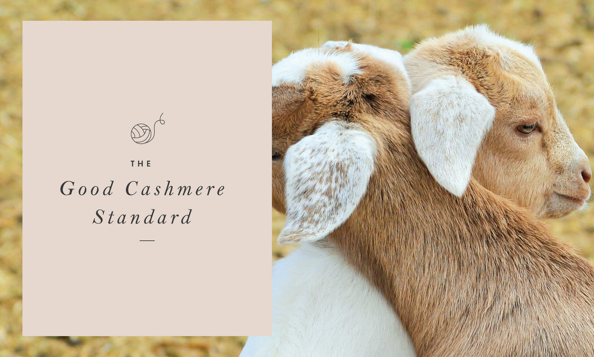 The Good Cashmere Standard – Mia Fratino
